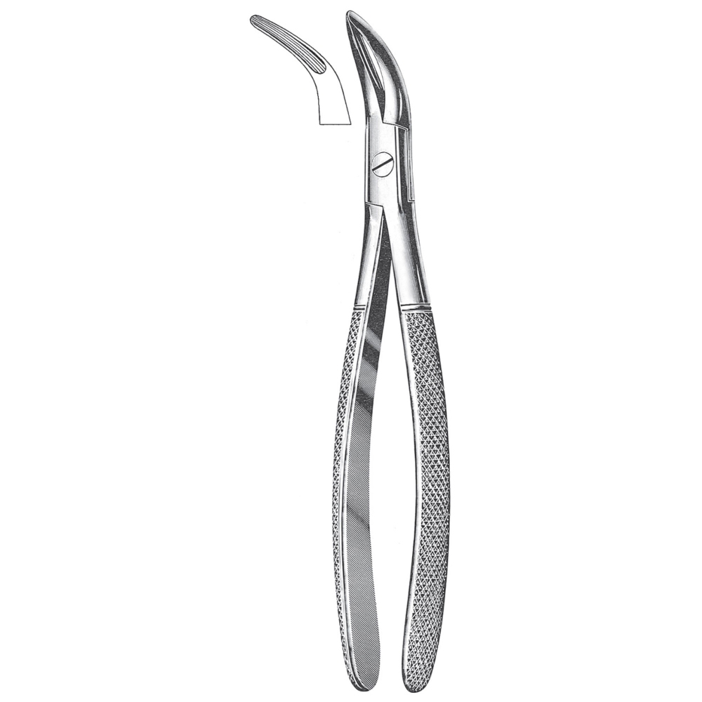 Wisdom Teeth Extracting Forceps Universal pattern - Gavin Industries